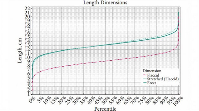 Científicos establecen cuál es el tamaño normal del pene